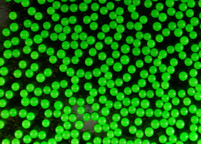 Fluorescent Green Polyethylene Microspheres, Beads, Particles - Density ...